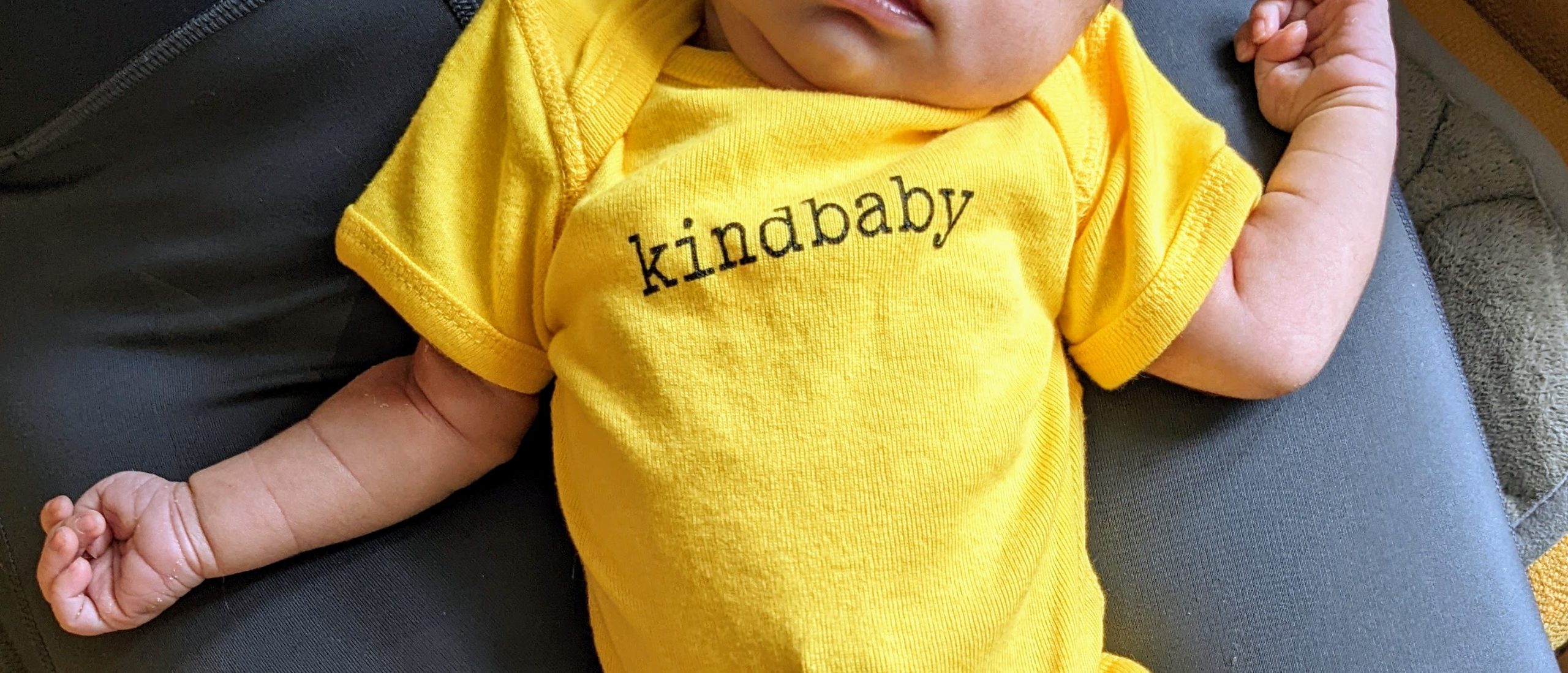 Flamingo Prayer | Donna Miscolta